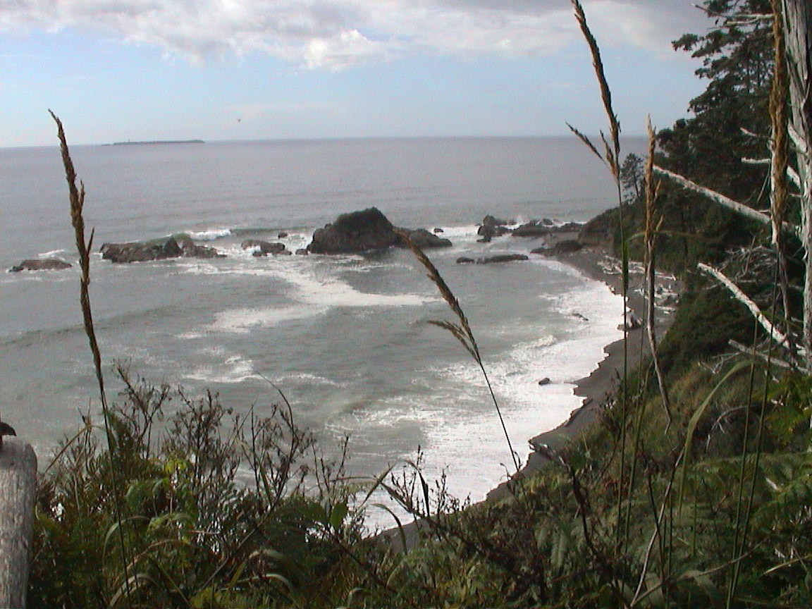 Mike Perry - Seattle/2000 Travelogue - Page 3 of 3